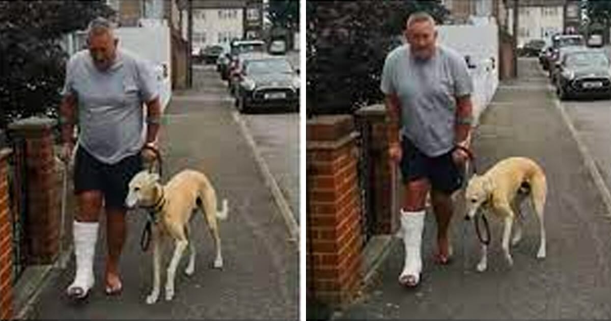 Hunden haltar vid sin gipsade husses sida – hos veterinären bekräftas ...